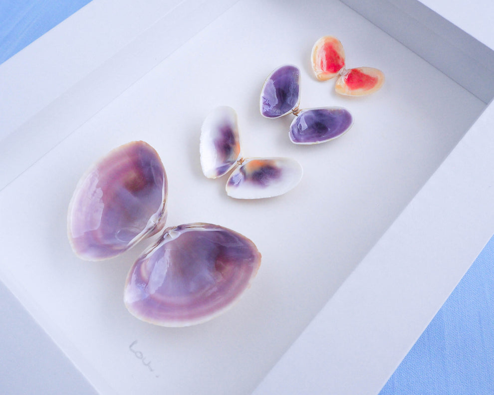 Seashell Butterfly Coastal Art Purple Pink ~ Sea by Lou – Seabylou