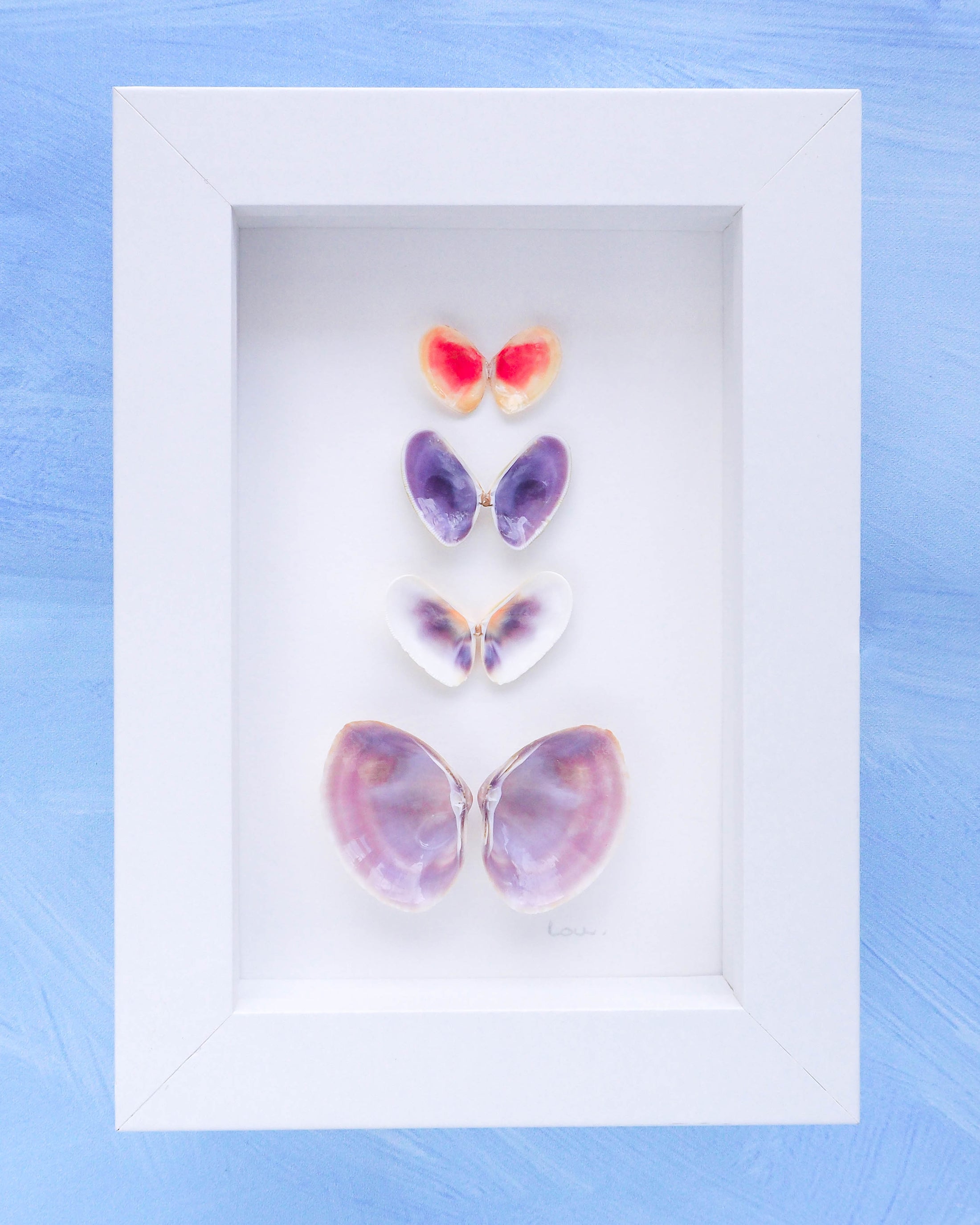 Seashell Butterfly Coastal Art Purple Pink ~ Sea by Lou – Seabylou